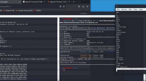 Ali Özkan On Linkedin All In One 😋 Dirbuster Hydra Nmap Nikto Metasploit
