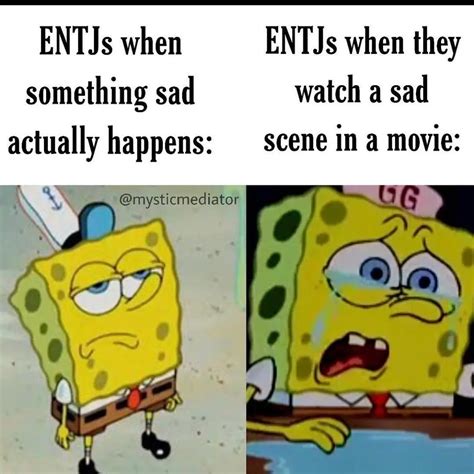 25 Relatable Entj Memes That Will Make You Laugh