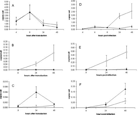 Kinetics Of Vsv G Protein Pseudotyped Hiv 1 Vector Transduction In The