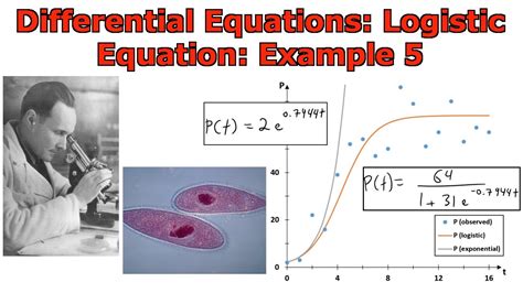 Differential Equations Population Growth Logistic Equation Example 5