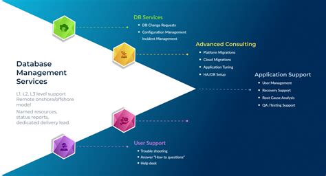 Database Management Services