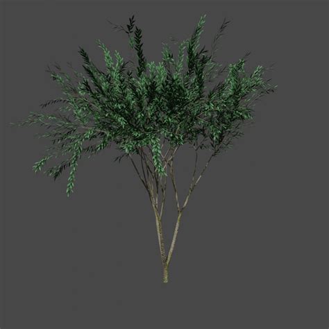 Tree Pbr Model TurboSquid 1528834