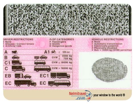 South African Drivers License Renewal From Abroad Nelmitravel