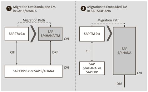 Moving Sap Tm From Sap Business Suite To Sap S4hana
