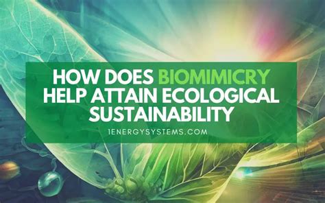 Sustainable Biomimicry Examples At Sebastian Queale Blog