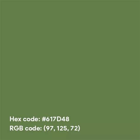 Algae Green Color Hex Code Is 617d48