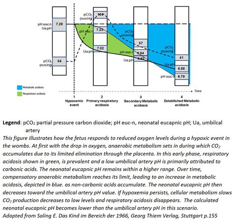 Is It Time To End The Use Of Base Deficit For Fetal Well Being Assessment… Christopher Robinson