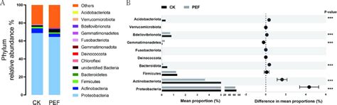 The Phylum Level Of Bacterial Community In Buckwheat Seeds A Download Scientific Diagram