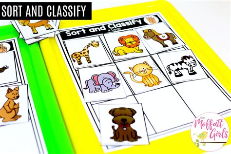 1 Sort And Classify