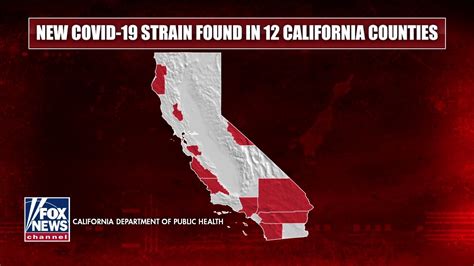 New Coronavirus Strain Found In 12 California Counties Fox News Video