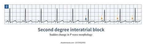 823 Conduction Bundle Royalty Free Photos And Stock Images Shutterstock