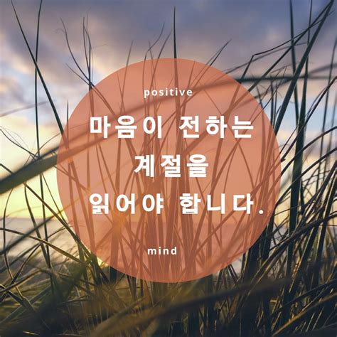 마음이 전하는 계절을 읽어야 합니다 추억은 마음을 완성합니다 아무리 삭막한 마음이라도 추억 하나가 들어서는 순간 온기가 깃들게 됩니다 독서 인in 심리학