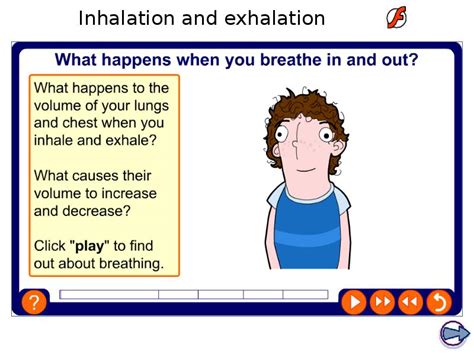 Ks4 Biology The Breathing System презентация доклад проект