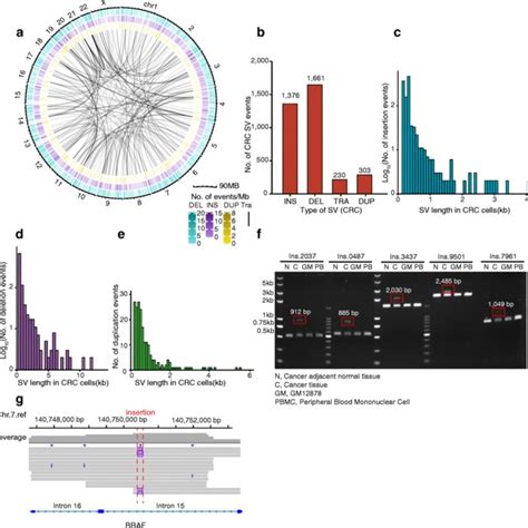 Sv Detection Using Smooth Seq A The Diagram Of Insertions Deletions