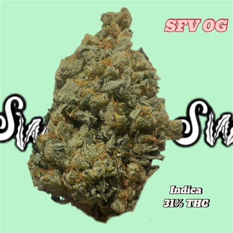 Sfv Og Weed Strain Indica With 31 Thc Seaweeddelivery