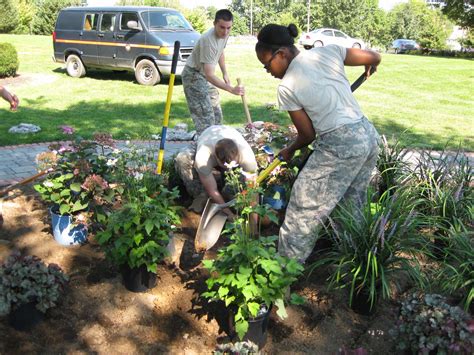 What Is Environmental Engineering
