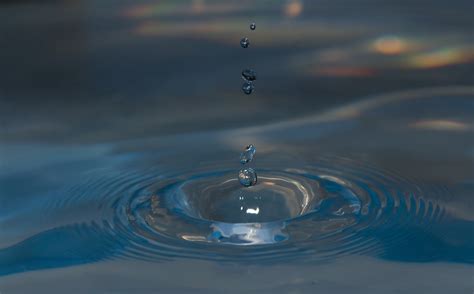 Wassertropfen Forum Für Naturfotografen