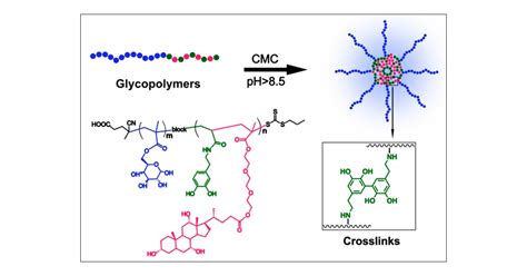 Core Cross Linked Micelles Made Of Glycopolymers Bearing Dopamine And Cholic Acid Pendants