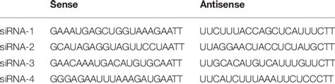 Sirna Sequences Used In This Study Download Scientific Diagram