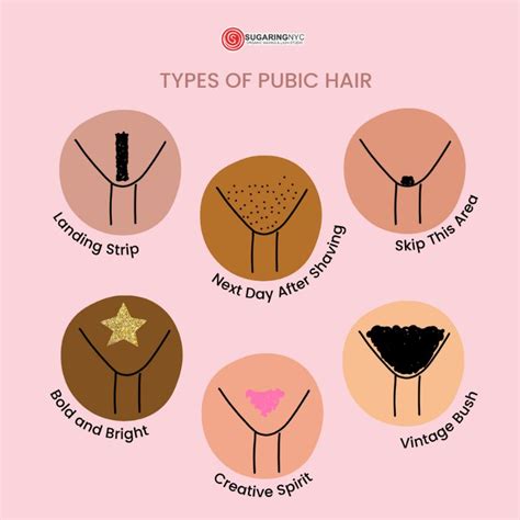 Bikini Line Hair Styles