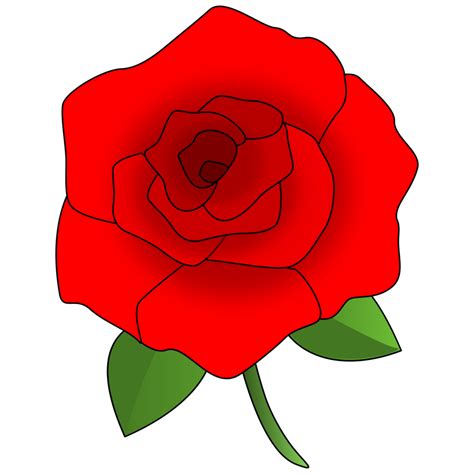 Fleur Rose Rouge 26958060 Png