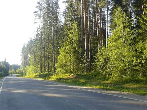 Carfactum Папе пришел штраф на 1000 рублей Мама решила сделать папе приятное и заплатила его
