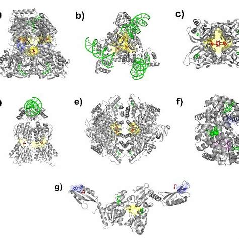 Validation By Apop For Known Allosteric Pockets In Uridylate Kinase And