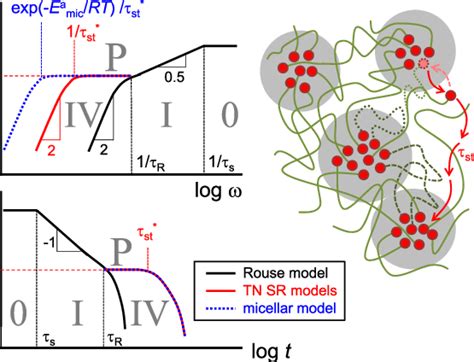 A Storage Modulus G 0 And B The Orientation Autocorrelation