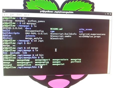 How To Install Mongodb On A Raspberry Pireally Stuart Hayes