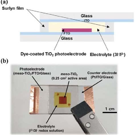 A Schematic Diagram Of The Structure Of Dye Sensitized Solar Cells