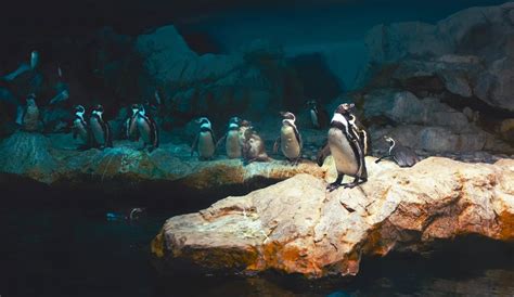 How To Setup FTP Server In Ubuntu Tech Hyme