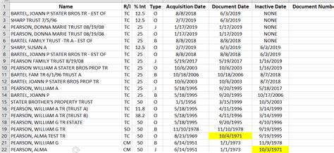 Database Ownership Partners Grouping Using Excel Vba Stack Overflow