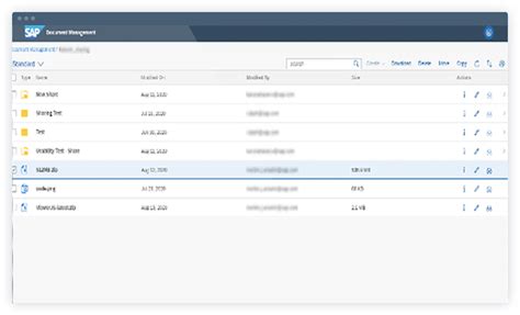 Sap Document Management