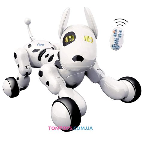 Интерактивная игрушка робот собака 619 Одесса 7км | магазин «TomToys ...