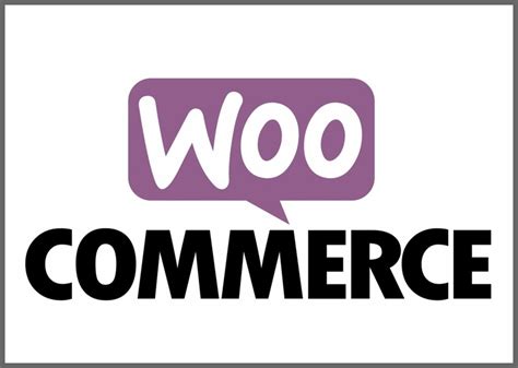 Choosing A Woocommerce Plugin For Wordpress Ecommerce Success Envato