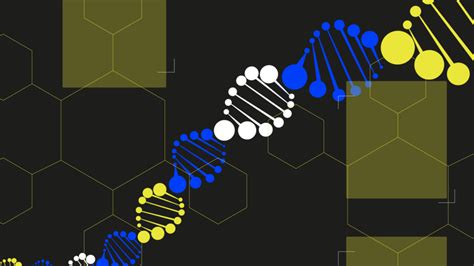 How Natural Selection Is Present In Genetic Algorithms