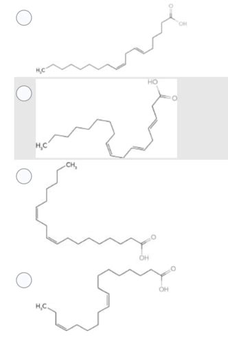 Biochem Final Flashcards Quizlet