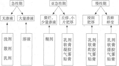 二剂型的选择 皮肤性病 医学