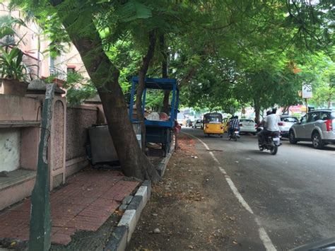 Ecologic Treasure Trove Trees Shilpa Architects