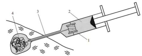 Figure1 1 Principle Of Thread Injection The Thread Is Stored On A