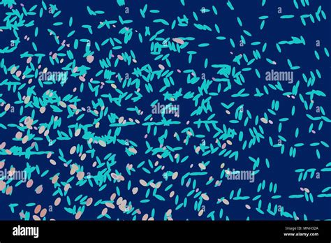 Abstract Background With Shape Of Motion Particle Or Random Pattern Vector Illustration