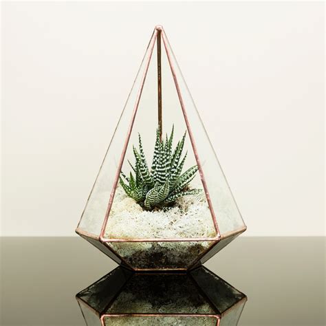 Review Diy Copper Aztec Jewel Terrarium Kit From The Urban Botanist