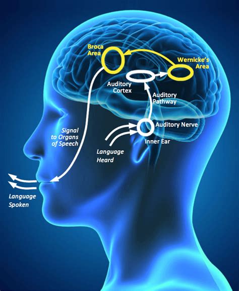 Speech Brain Disorder