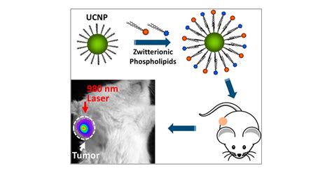Highly Biocompatible Zwitterionic Phospholipids Coated Upconversion
