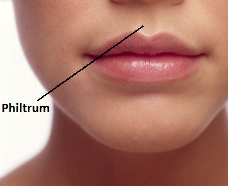 The Philtrum News Dentagama