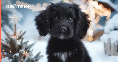 Dall E теперь позволяет редактировать картинки через Chatgpt