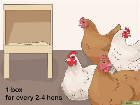 How To Build Nesting Boxes Simple Step By Step Guide