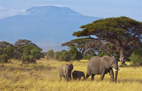 Kenia Reisen Im September Und Oktober Safari Und Baden In Kenia