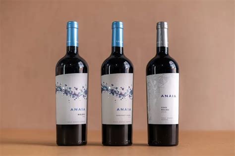 애들레이드 여행지 추천 총정리｜2025년 꼭 가봐야 할 명소와 숨은 명소 소개