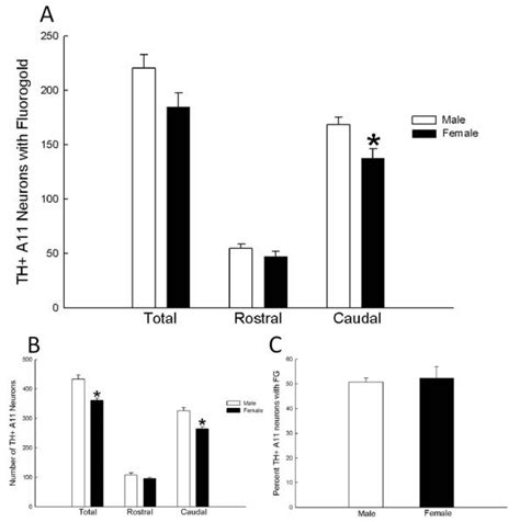 Neonatal Androgen Dependent Sex Differences In Lumbar Spinal Cord Dopamine Concentrations And